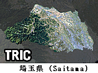 情報技術センター